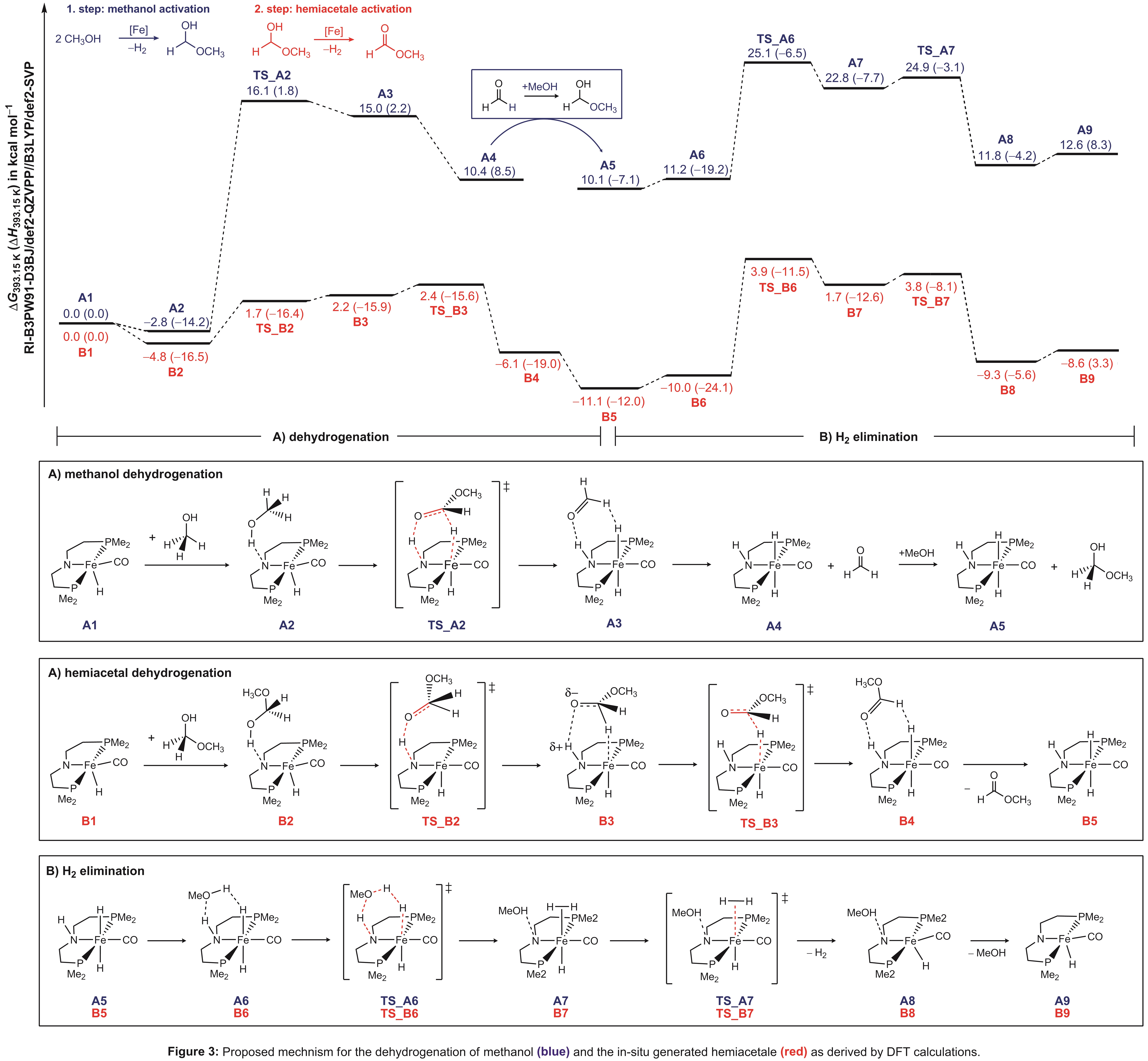 Well-Defined Iron Catalysts | HKHLR - HPC Hessen Well-Defined Iron Catalysts | HKHLR - HPC Hessen